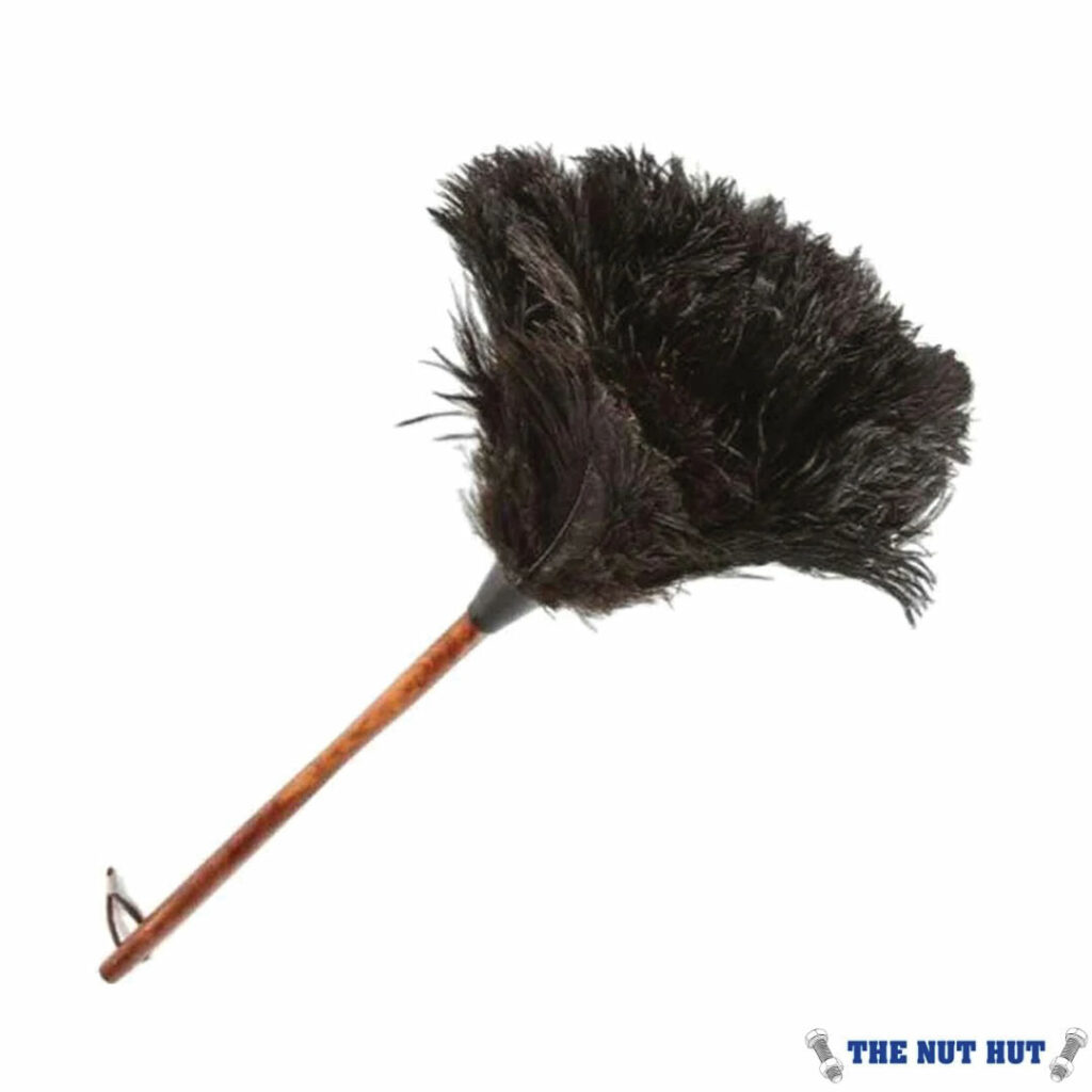 Feather Duster Short Handle Ostrich Arrow – The Nut Hut