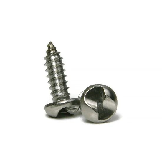 One-Way Security Screw #10 (4.8)x45 MS EG – The Nut Hut