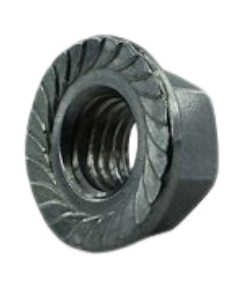 Hex Head Nut M8 Serrated Flanged SS – The Nut Hut